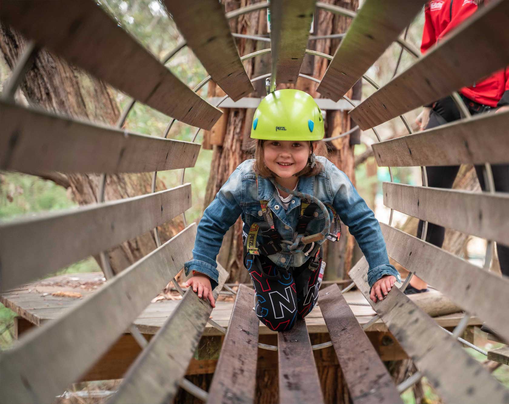 Nippers Tree Surfing - Enchanted Adventure - An Epic Climbing Adventure ...