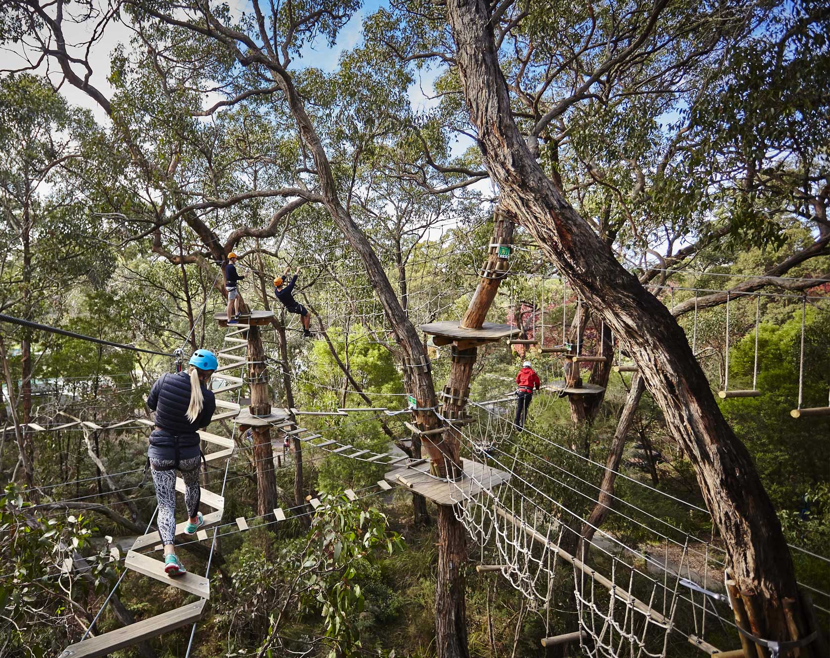 Image Gallery - Enchanted Adventure