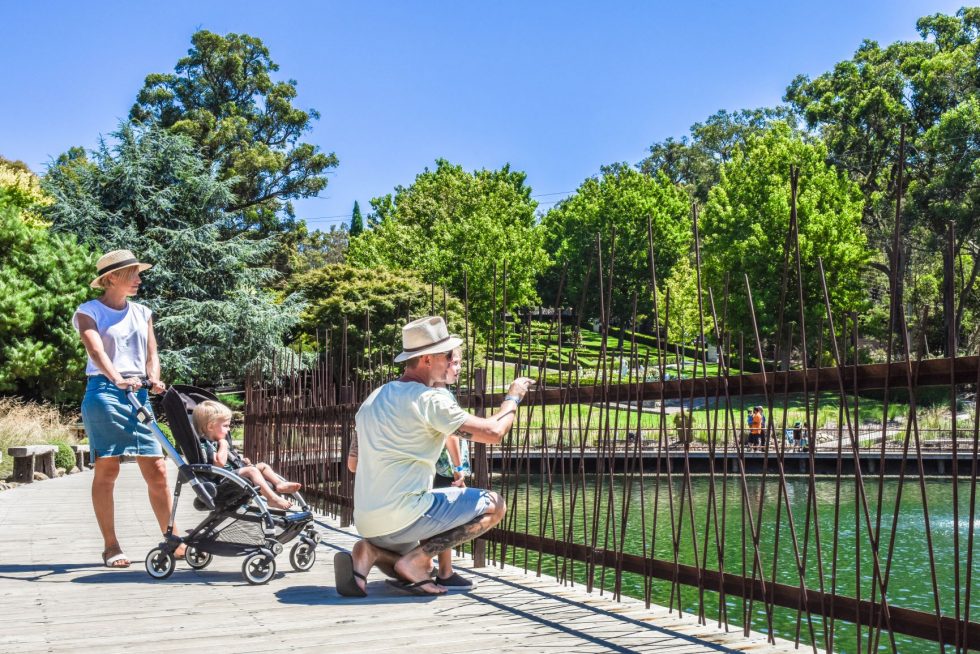 Image Gallery - Enchanted Adventure - Explore our 25-acre park & activities