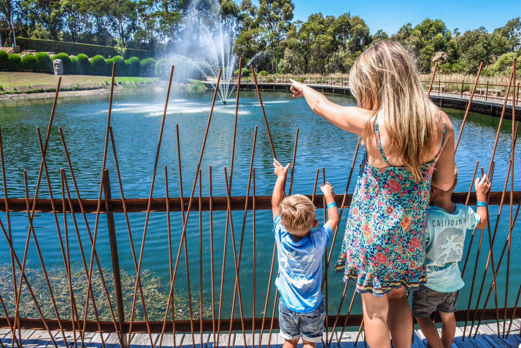 Image Gallery - Enchanted Adventure - Explore our 25-acre park & activities