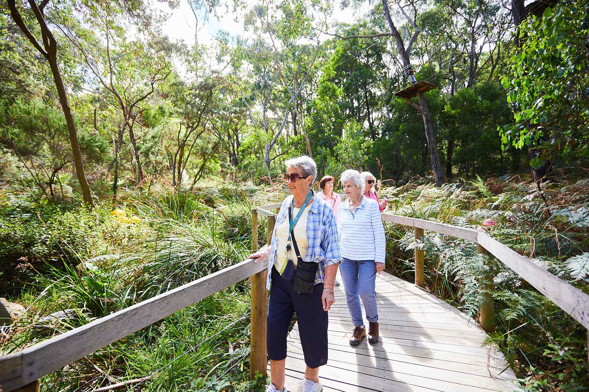 Image Gallery - Enchanted Adventure - Explore our 25-acre park & activities