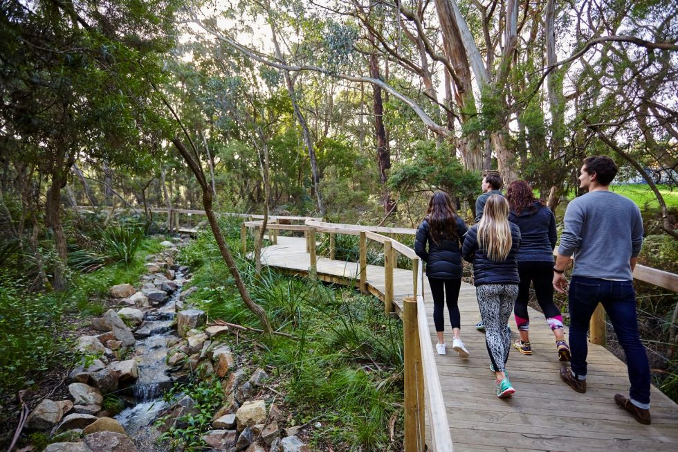 Image Gallery - Enchanted Adventure - Explore our 25-acre park & activities