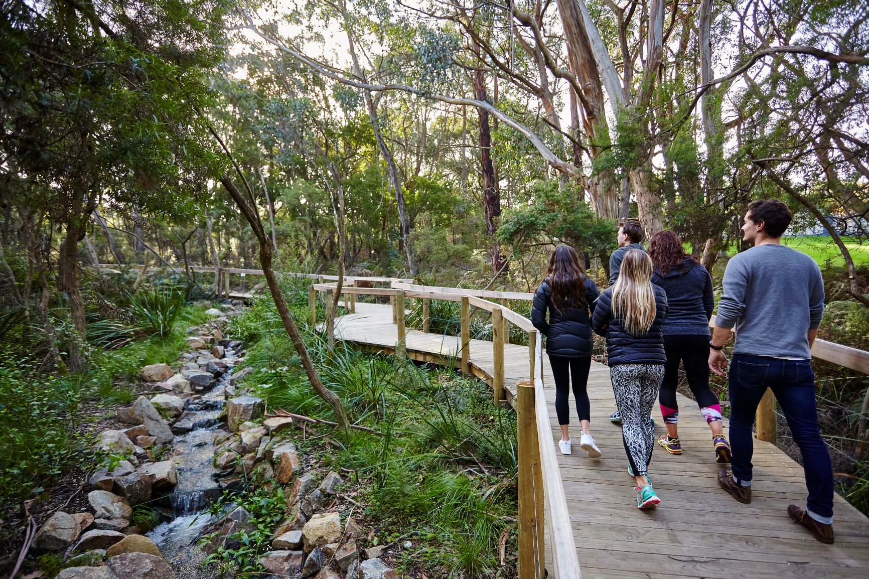 Image Gallery - Enchanted Adventure - Explore our 25-acre park & activities