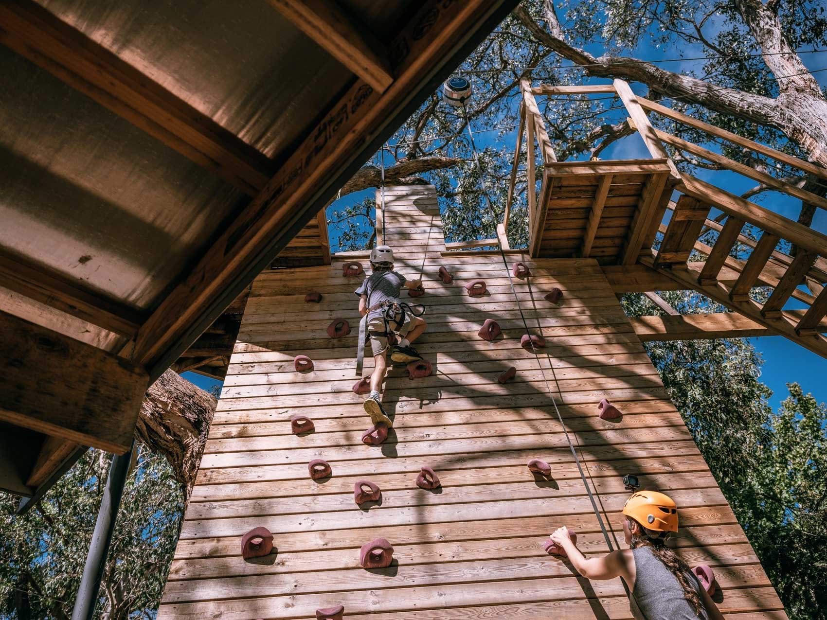 Image Gallery - Enchanted Adventure