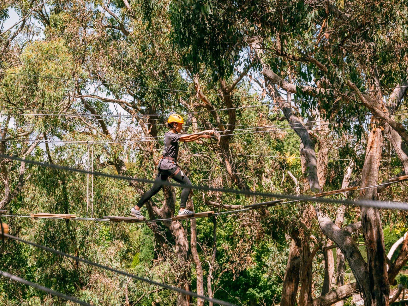 Image Gallery - Enchanted Adventure