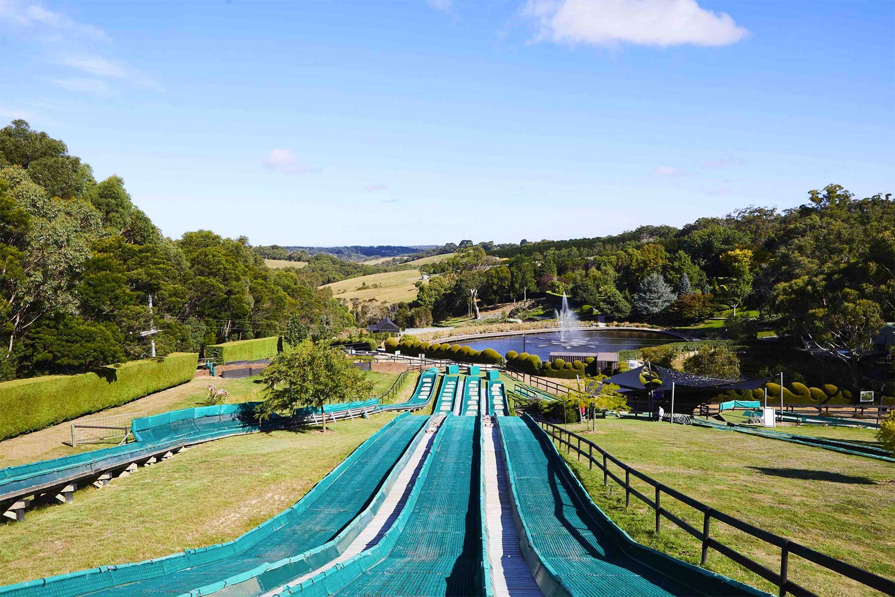 Image Gallery - Enchanted Adventure - Explore our 25-acre park & activities