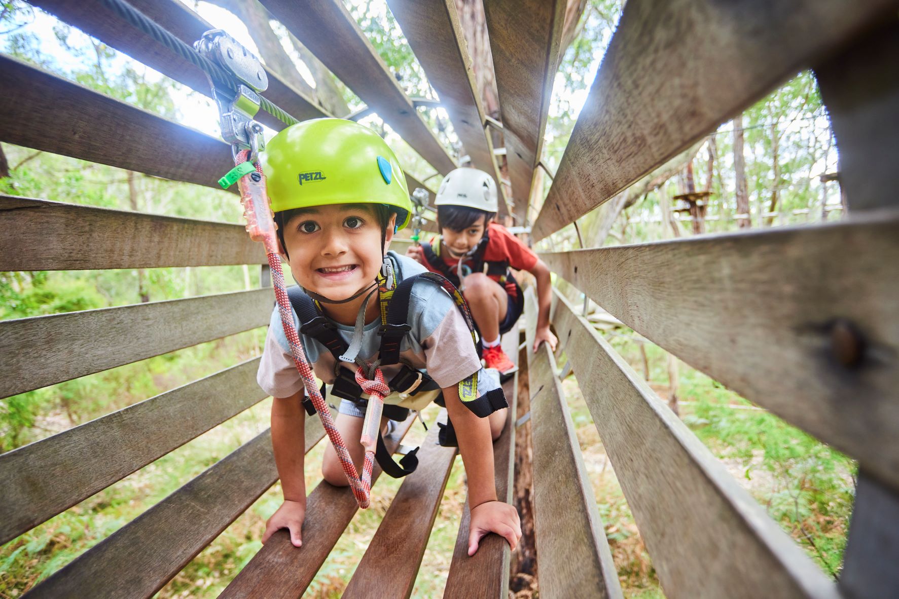 Image Gallery - Enchanted Adventure