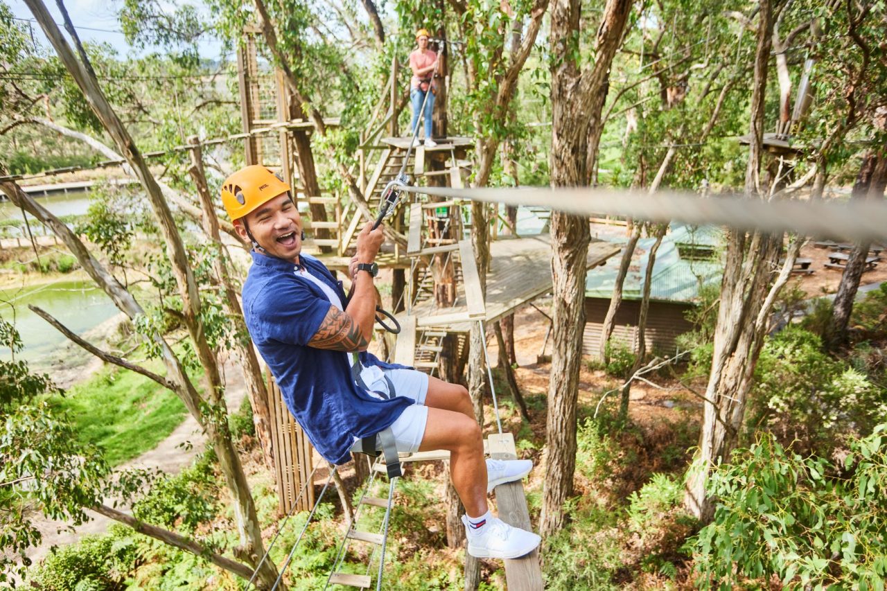 Enchanted Adventure: the Home of Tree Surfing - Arthurs Seat ...