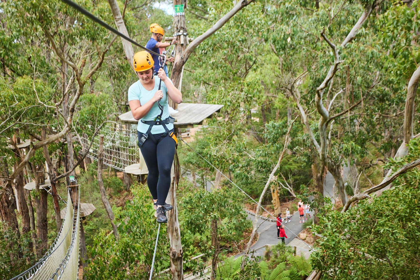 Image Gallery - Enchanted Adventure