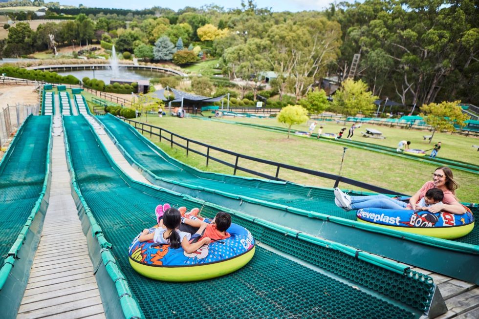 Image Gallery - Enchanted Adventure - Explore our 25-acre park & activities