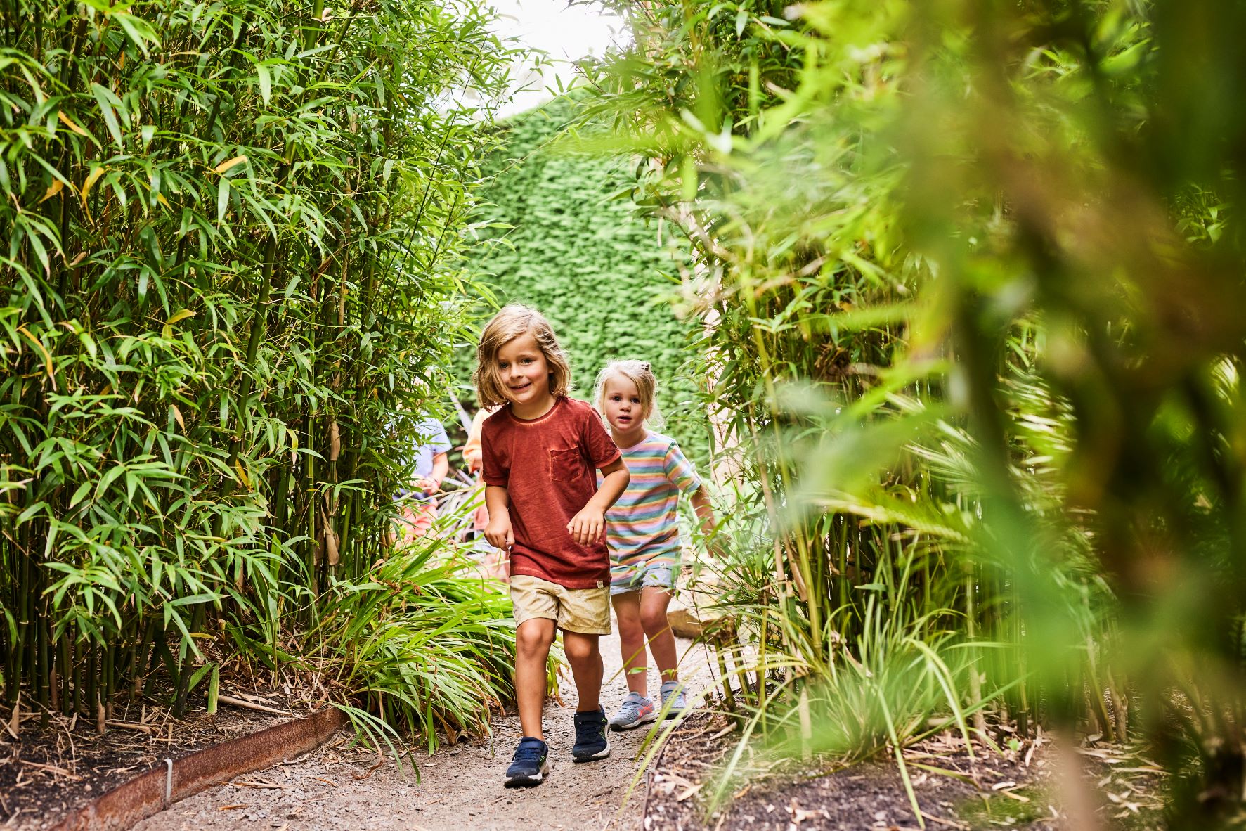 Image Gallery - Enchanted Adventure - Explore our 25-acre park & activities