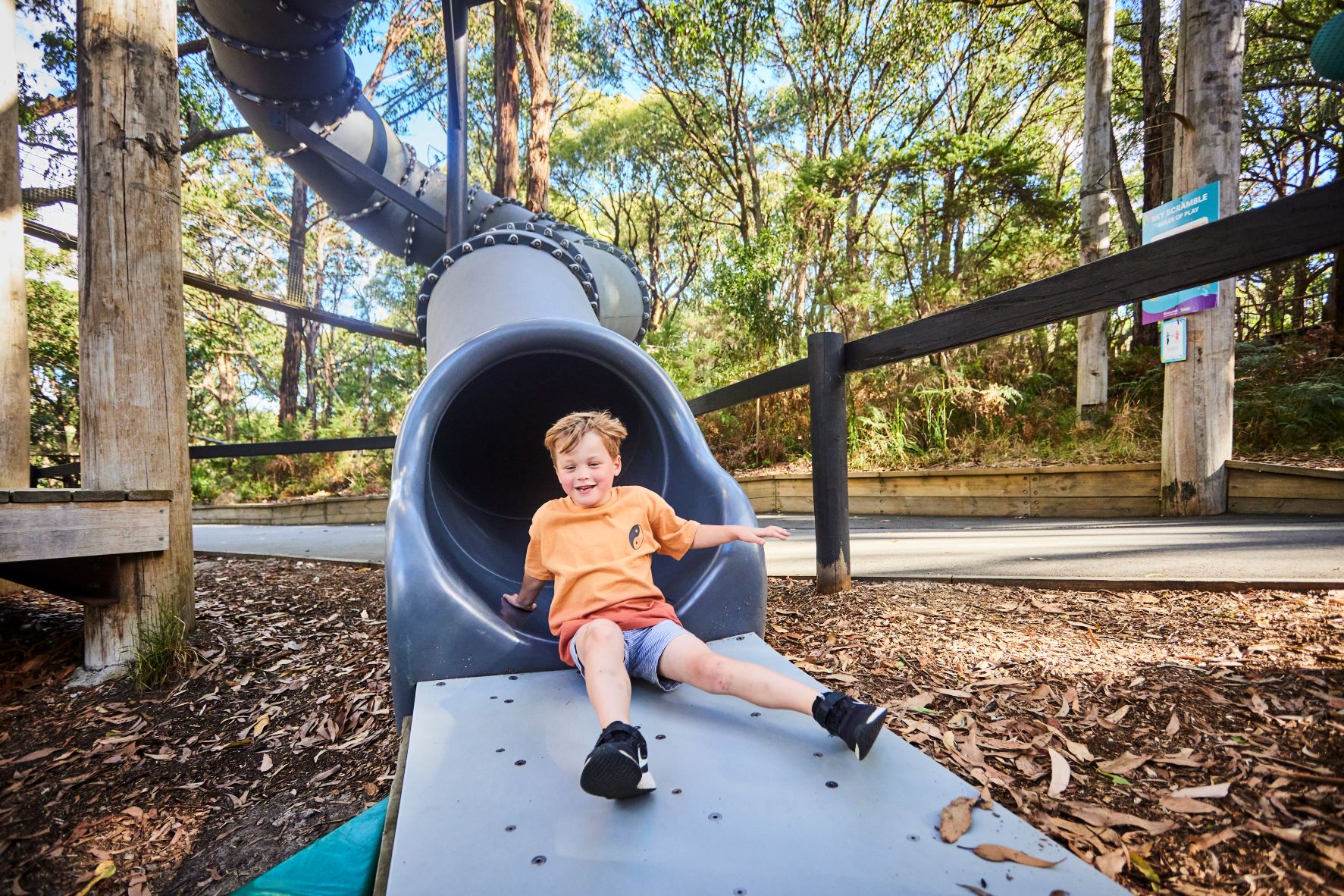 Image Gallery - Enchanted Adventure - Explore our 25-acre park & activities